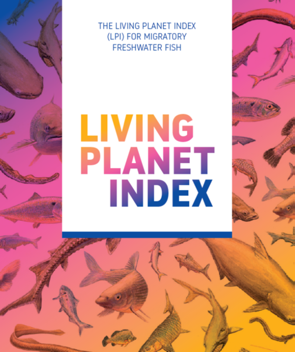 THE LIVING PLANET INDEX (LPI) FOR MIGRATORY FRESHWATER FISH