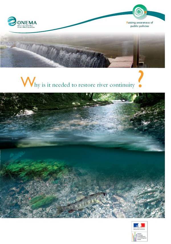 Why is it needed to restore river continuity?